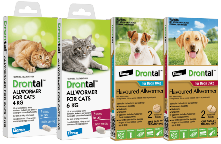 Drontal Official Website - Deworming Solution for Your Pets